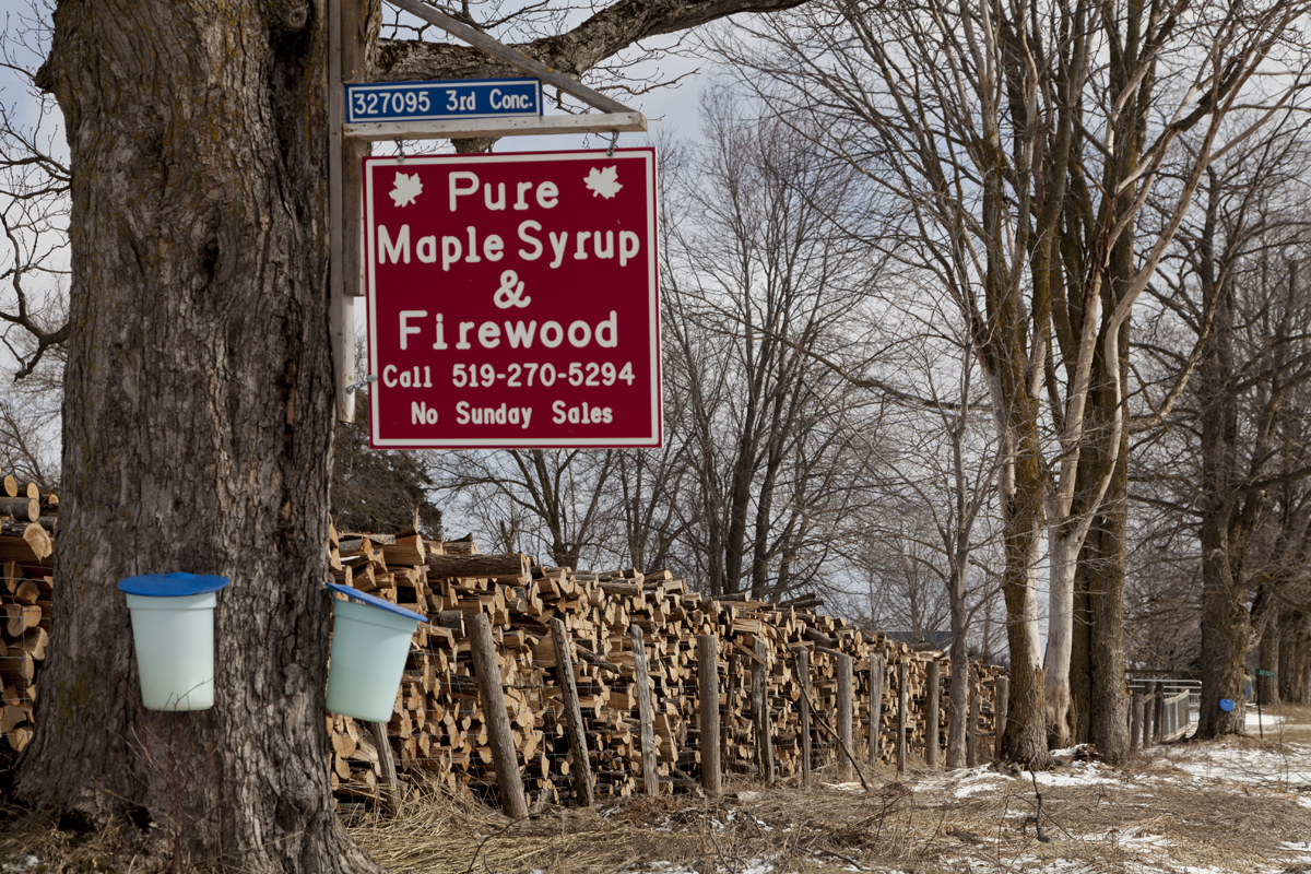 About – Port Maples